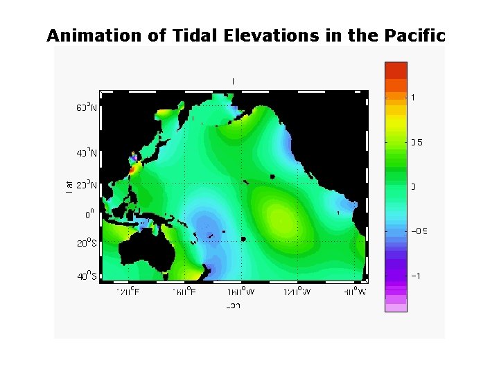 Animation of Tidal Elevations in the Pacific Tides