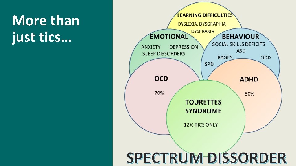 INTEGRATED WORKING TO IMPROVE OUTCOMES FOR DISABLED CHILDREN