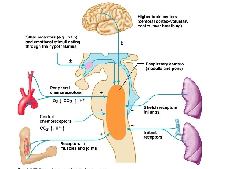 SOB Khalid AlMobaireek Introduction and Definition Pathophysiology Causes