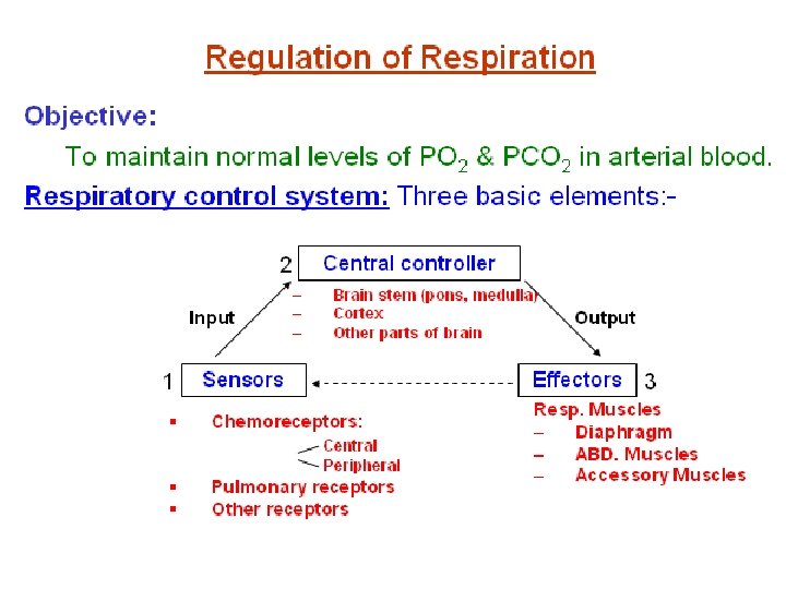 SOB Khalid AlMobaireek Introduction and Definition Pathophysiology Causes