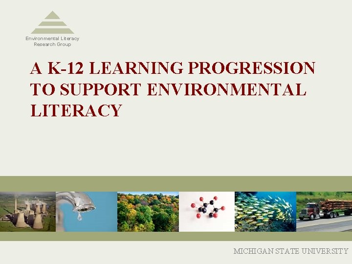 Environmental Literacy Research Group A K12 LEARNING PROGRESSION