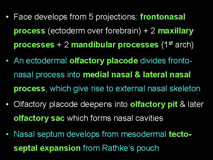 Anatomy of Nose Paranasal Sinuses Dr Vishal Sharma
