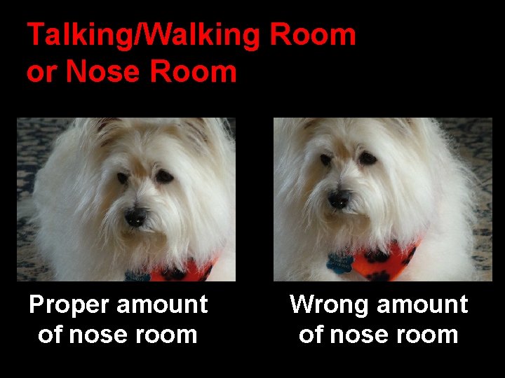 AVP CAMERA SHOTS 3 TAKE NOTES ASK QUESTIONS