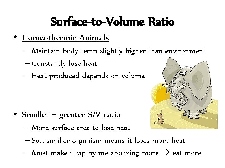 Chapter 42 Circulation and Gas Exchange Concept 42
