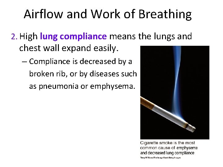 Airflow and Work of Breathing 2 High lung