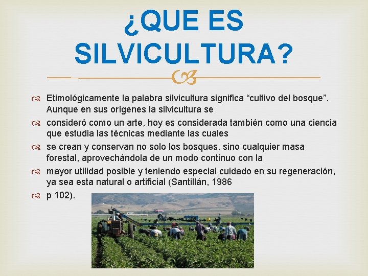 SILVICULTURA Y MANEJO INTEGRAL DE LOS RECURSOS FORESTALES