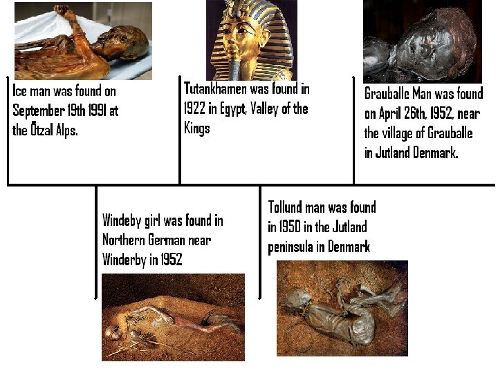 Ancient Human Remains Tollund Man Windeby Girl Emily