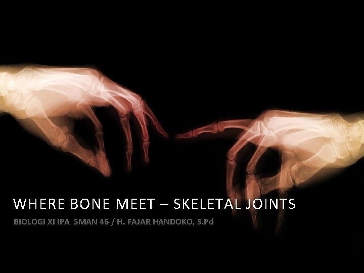 WHERE BONE MEET SKELETAL JOINTS BIOLOGI XI IPA