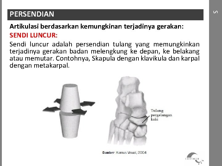WHERE BONE MEET SKELETAL JOINTS BIOLOGI XI IPA