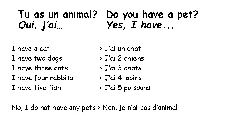 Les animaux domestiques Pets un chat a cat