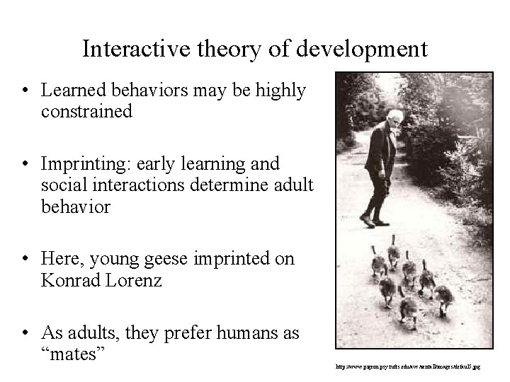Chapter 3 The Development of Behavior Development of