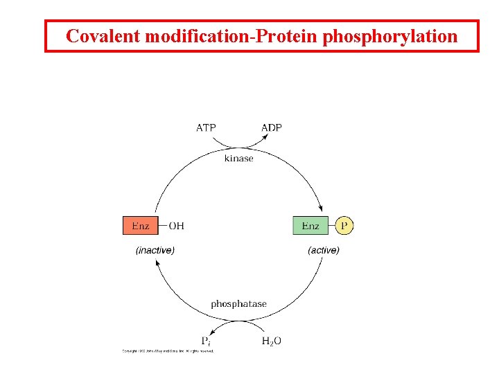 Glycolysis 5903 Pathway overview 1 Add phosphoryl groups