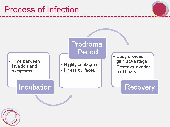 Chapter 16 Infectious Illnesses Elizabeth Lytle MPH BSN