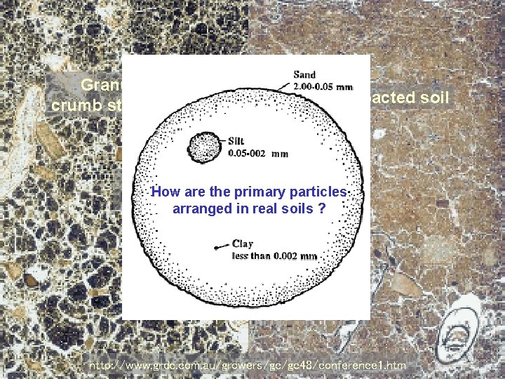 What is a soil pedon A pedon is