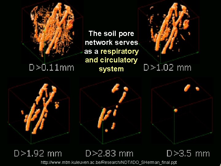 What is a soil pedon A pedon is