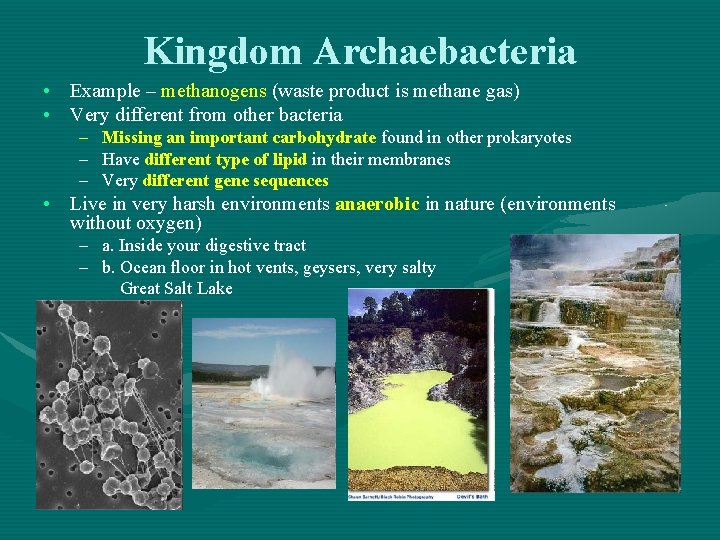Life Science Chapter 8 Viruses Bacteria What is