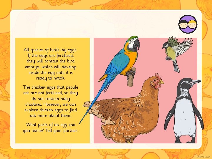 Living Things and Their Habitats Year One I