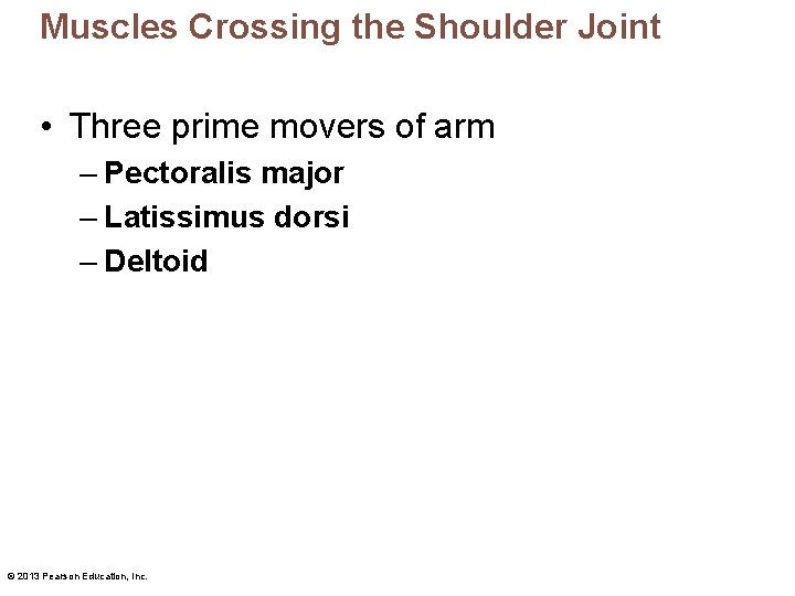 Power Point Lecture Slides prepared by Barbara Heard
