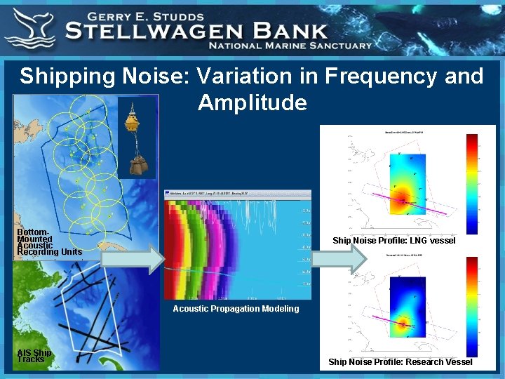 Ships and Whales Stellwagen Bank National Marine Sanctuary