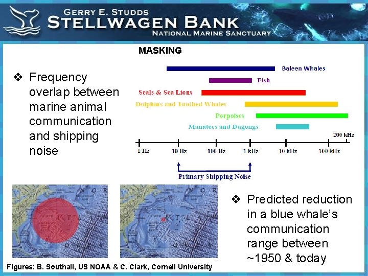 Ships and Whales Stellwagen Bank National Marine Sanctuary