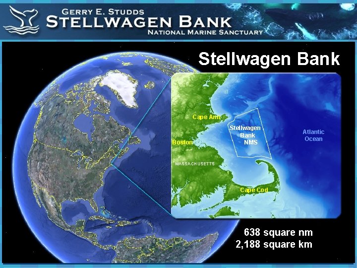 Ships and Whales Stellwagen Bank National Marine Sanctuary