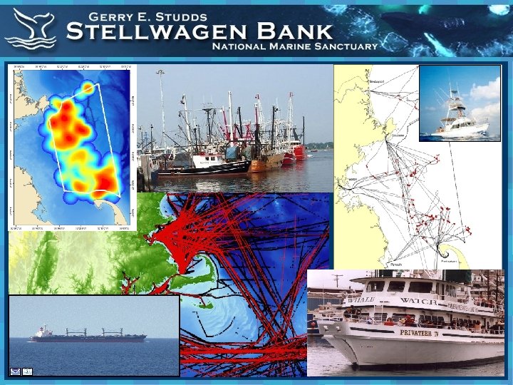 Ships and Whales Stellwagen Bank National Marine Sanctuary