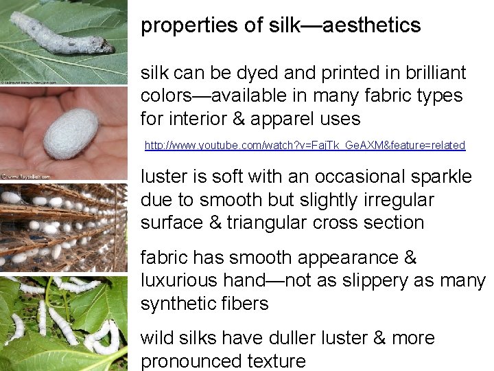 FASH 15 textiles silk silk is a natural