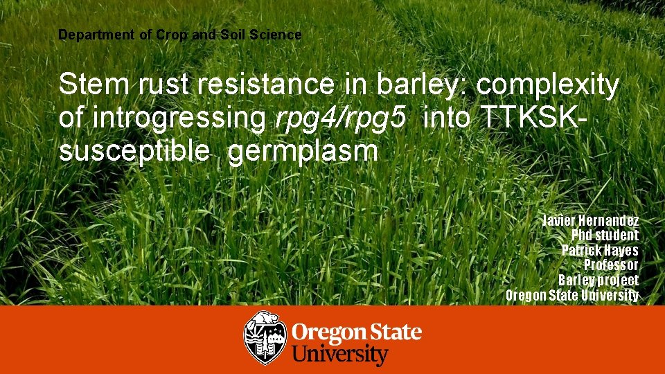Department of Crop and Soil Science Stem rust