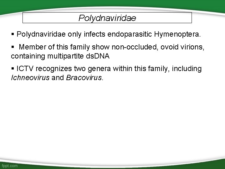 VIRUS ENTOMOPATOGEN Lanjutan By irda Safni Baculoviridae Granulosis