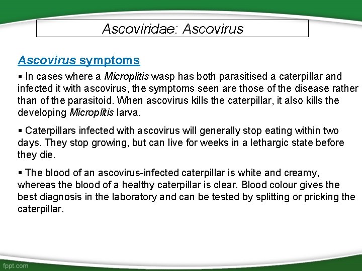 VIRUS ENTOMOPATOGEN Lanjutan By irda Safni Baculoviridae Granulosis