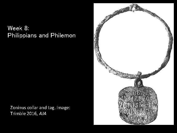Week 8 Philippians and Philemon Zoninus collar and