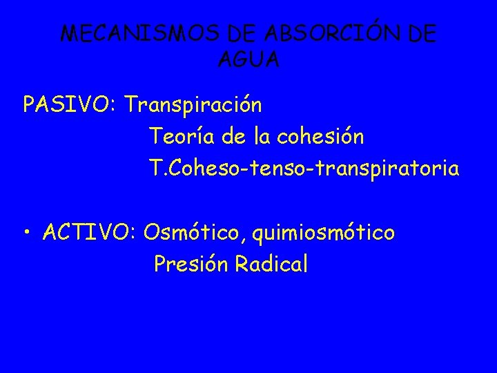 Tema 4 Mecanismos de Absorcin de agua en