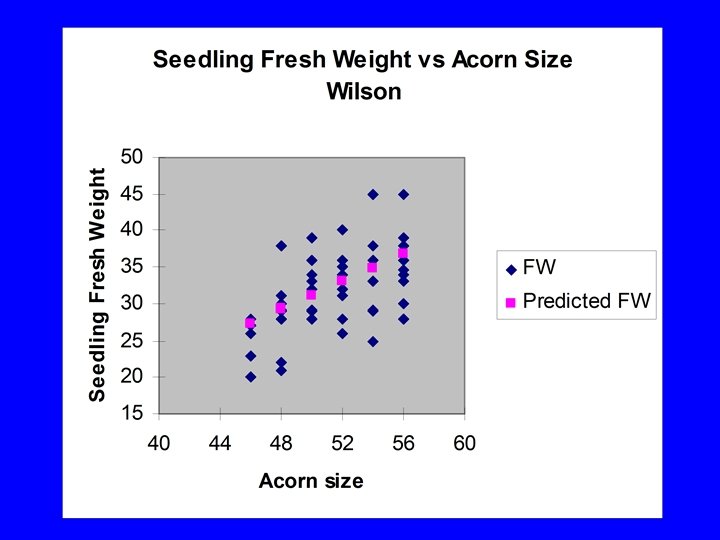 Acorn Strategies How Acorn Size Influences Seedling Size