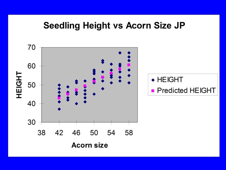 Acorn Strategies How Acorn Size Influences Seedling Size