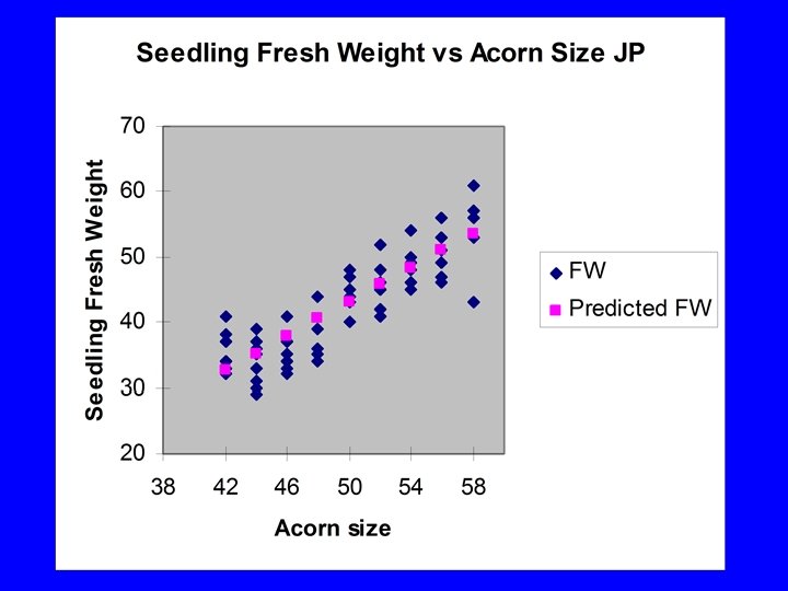 Acorn Strategies How Acorn Size Influences Seedling Size