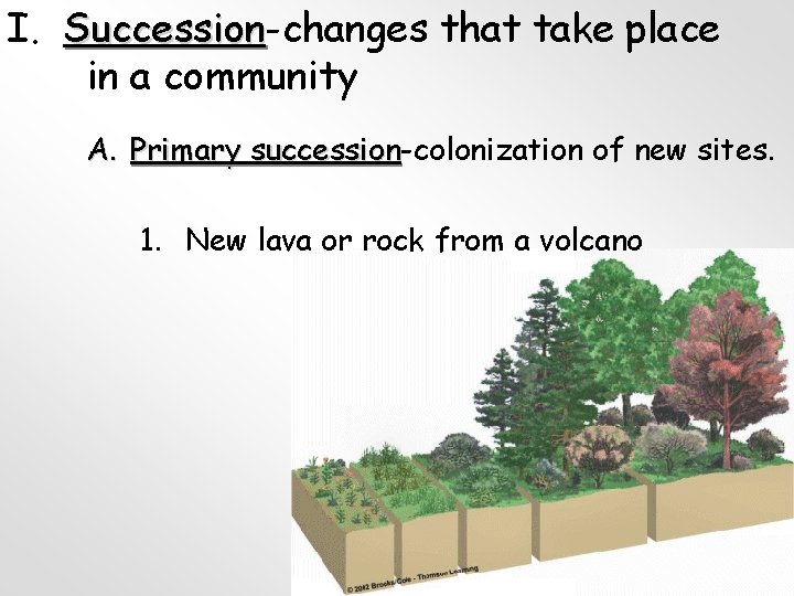 5 3 Bellringer How Ecosystems Change I Successionchanges