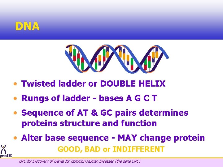The Human Genome Project in your classroom Fiona