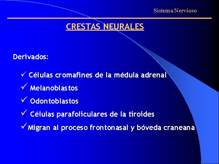 EMBRIOLOGA SISTEMA NERVIOSO Sistema Nervioso DESARROLLO TEMPRANO DEL