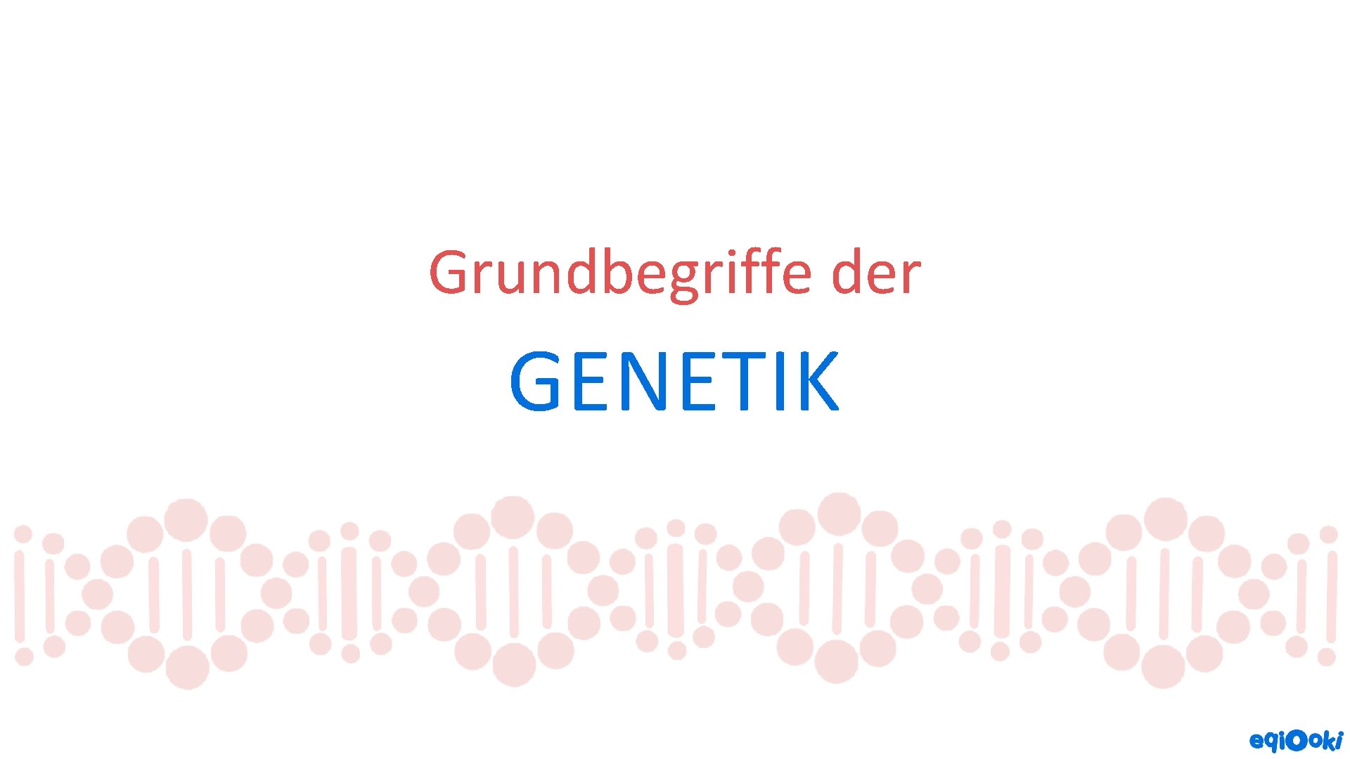 Grundbegriffe der GENETIK ALLES BER GENETIK DNA Chromosomen