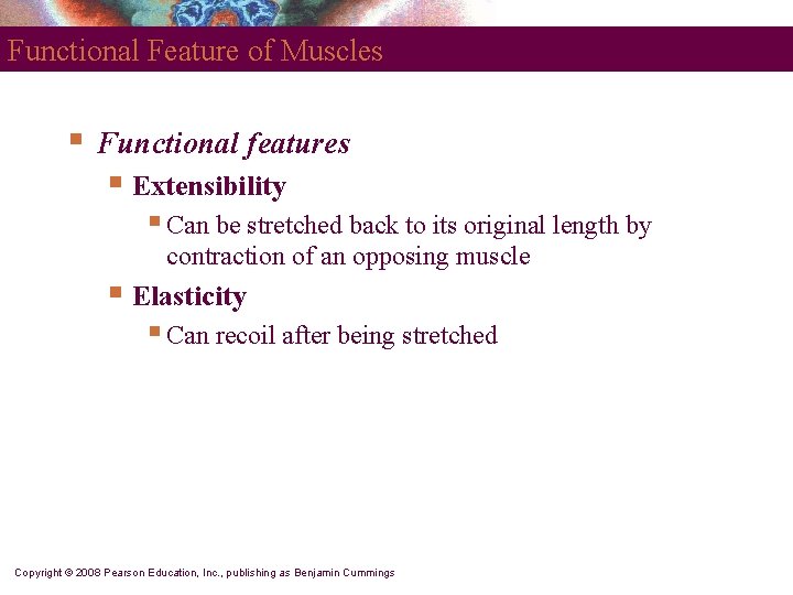 10 HUMAN ANATOMY Power Point Lecture Slides prepared