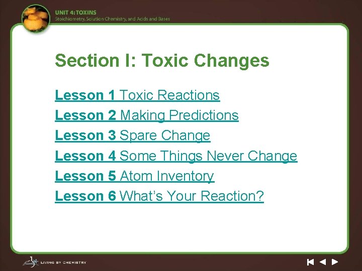 Living By Chemistry Unit 4 TOXINS Stoichiometry Solution