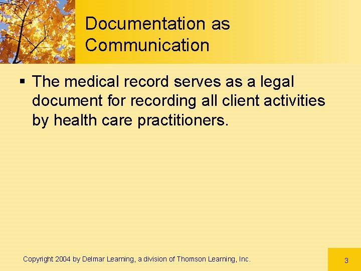 Chapter 16 Documentation and Reporting Copyright 2004 by