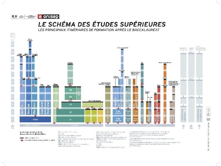 ENSEIGNEMENT SUPERIEUR EN FRANCE ORIENTATION Karine Gaultier Guidance