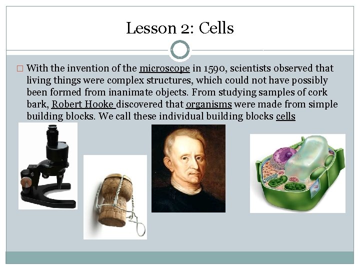 Chapter 1 Cells the Basic Building Blocks of
