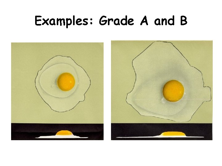 Working With POULTRY World Egg Consumers 1 2