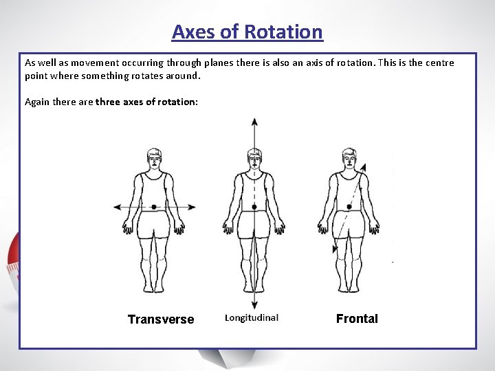 Planes of Movement To be able to explain