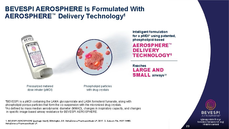 Approaches to COPD Assessment and Treatment US16960 1217