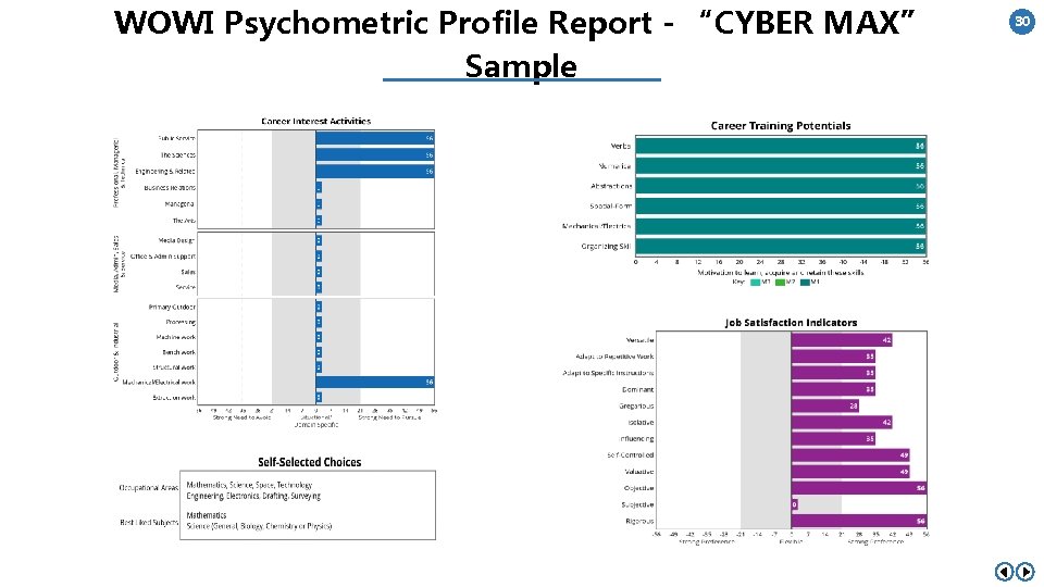 1 Identifying A Psychometric Profile For Vulnerability Assessment
