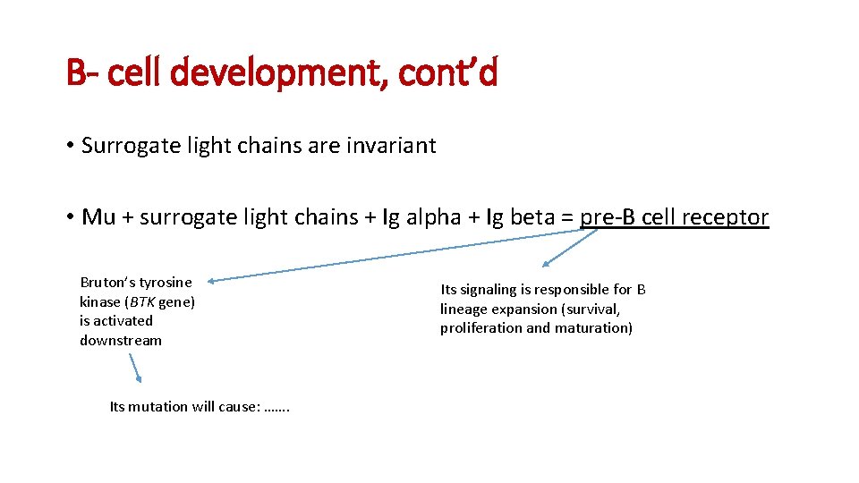 Development of B and T lymphocytes Ali Al