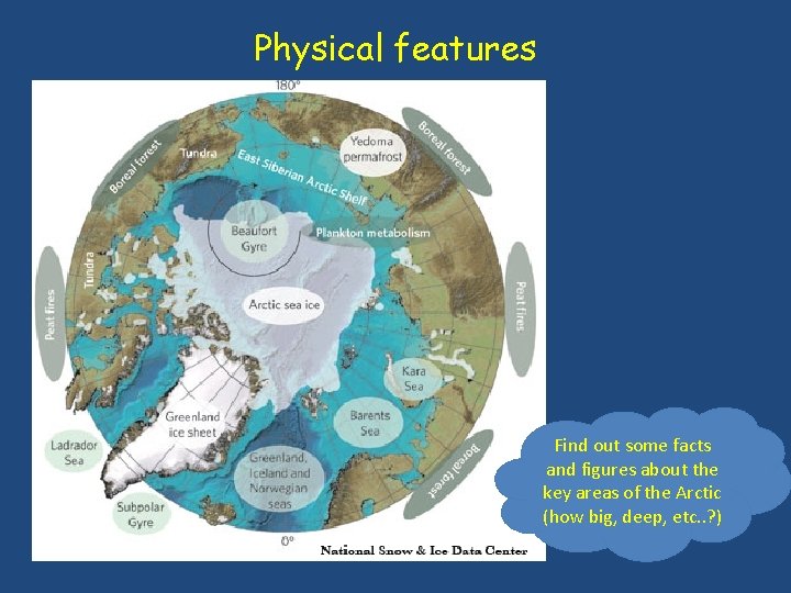 Synoptic Biodiversity under Threat Arctic on the Edge